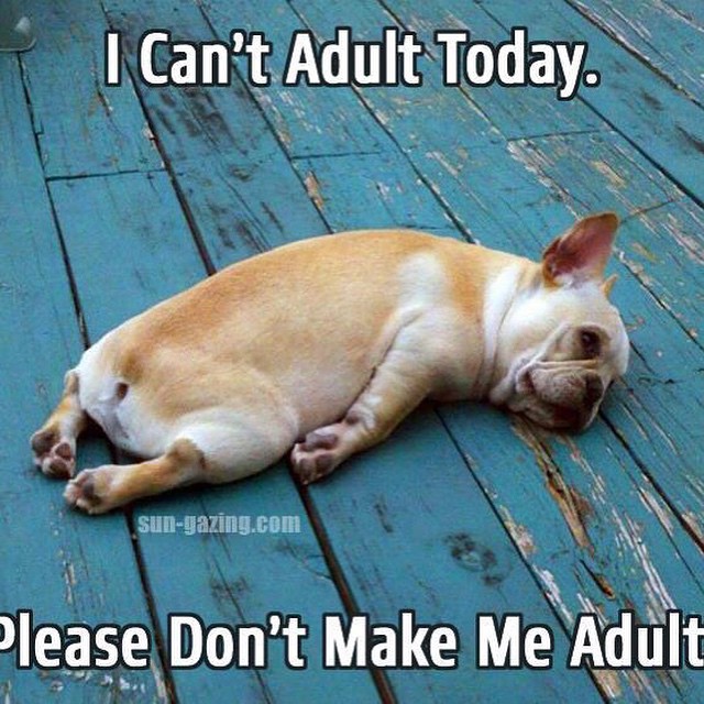 Knackered Friday? | Telling the Truth