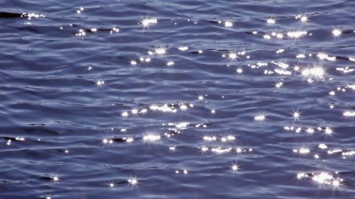 Scintillating | Telling the Truth