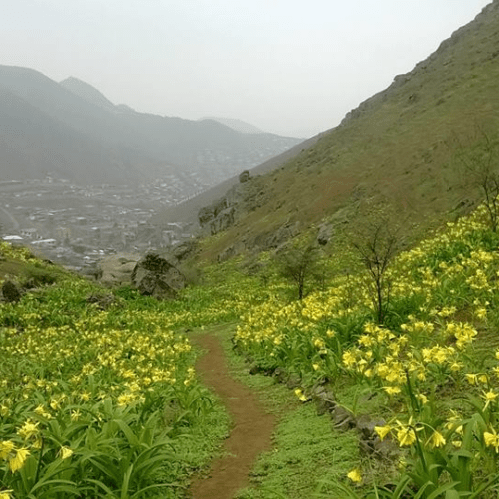 When Death Comes | Mary Oliver | Telling the Truth